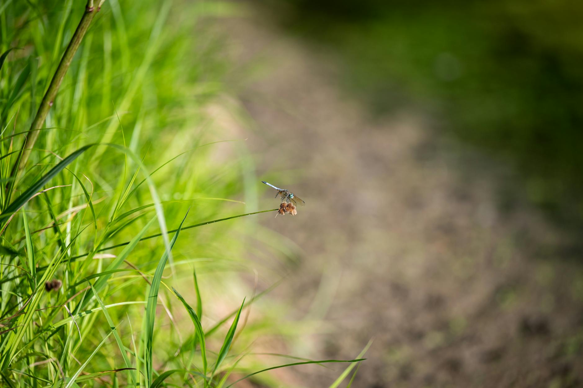 Indian Equities Reclaim Key Level Banks Drive Market Recovery ...