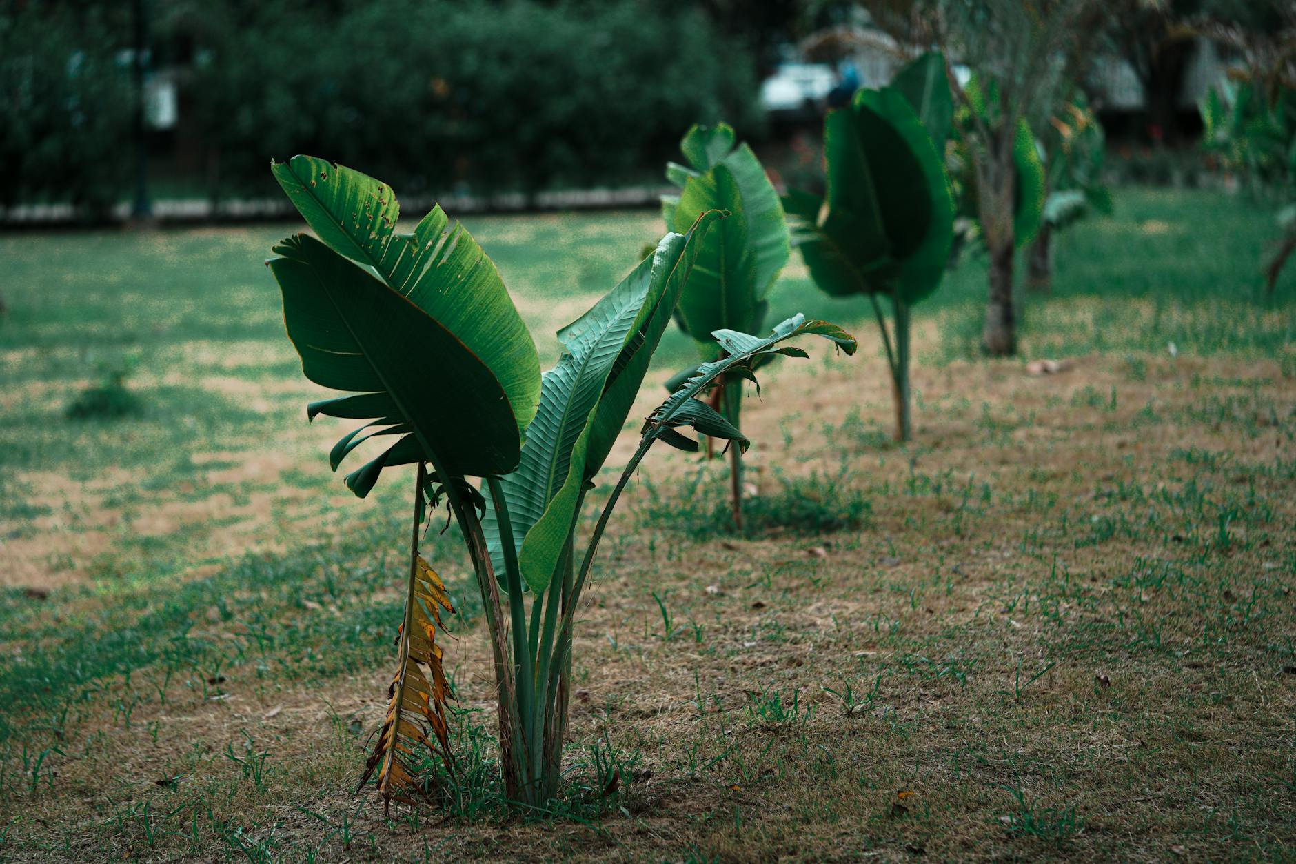 Mukul Agrawal Stock Bet Up 10 Percent Smallcap Market Watch | StockeZee ...